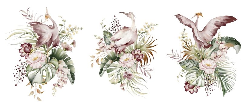 Ibis And Orchid Design Templates – Free Editable Designs | PikWizard