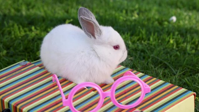 Funny Goodbye Images – Browse 12,023 Stock Photos, Vectors, and Video ...