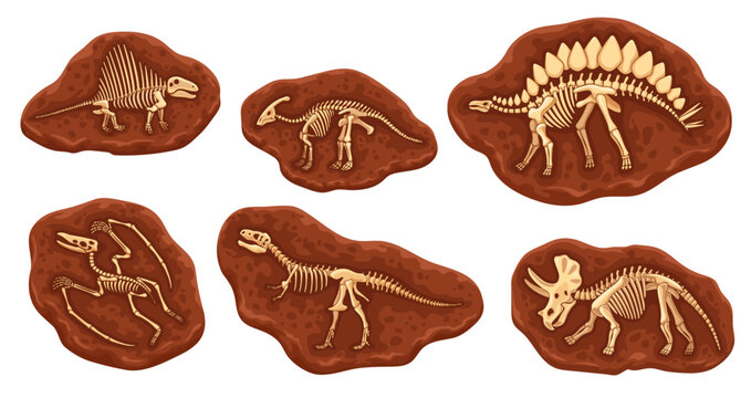 Cartoon Fossils Underground Images – Browse 1,324 Stock Photos, Vectors ...