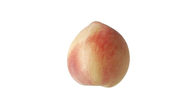 "Peach Pit" Images – Browse 435 Stock Photos, Vectors, and Video ...
