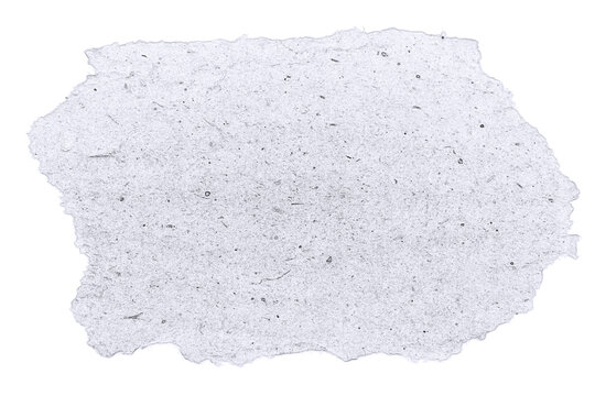 Drafting Paper Texture Images – Browse 11,061 Stock Photos, Vectors ...