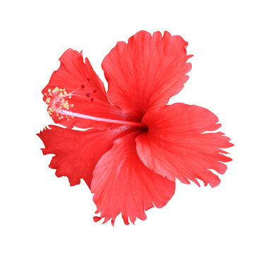 Tonpong photos, images, assets | Adobe Stock