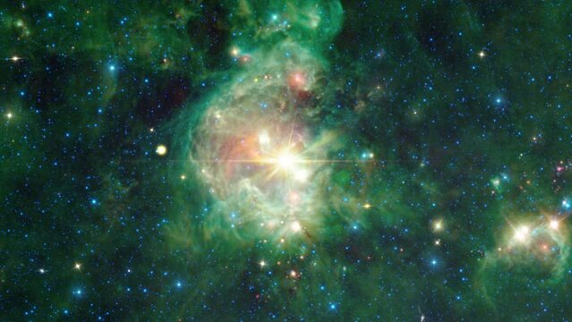 "Monkey Head" Images – Browse 1,155 Stock Photos, Vectors, and Video ...