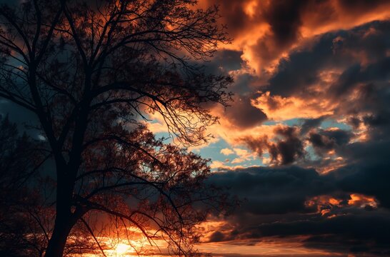 Treescape Images – Browse 2,879 Stock Photos, Vectors, and Video ...