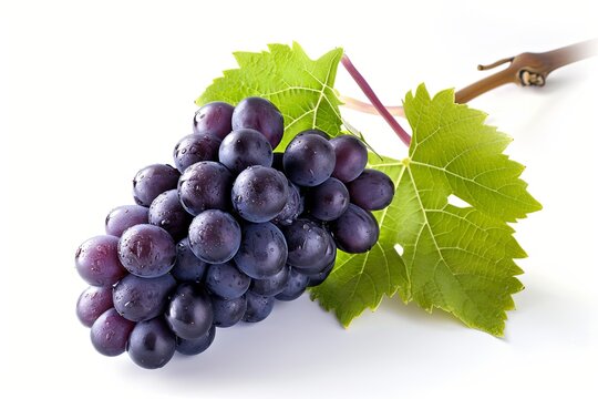 Single Fruits Pictures Grapes