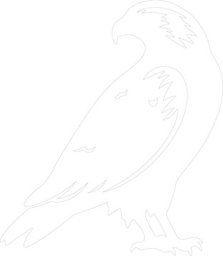 "Red-Tailed Hawk" Images – Browse 13,333 Stock Photos, Vectors, and ...