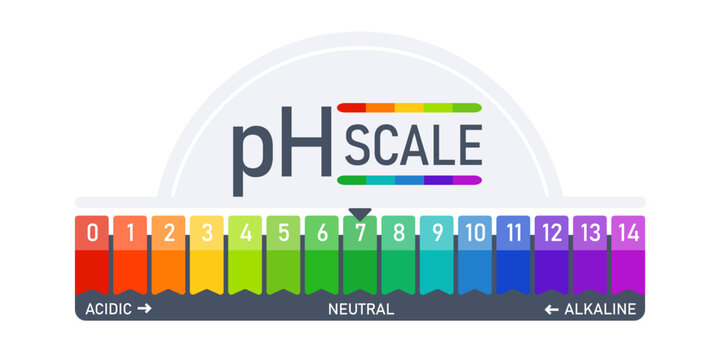 Ph Scale-Bilder: Stock-Fotos & -Videos. | Adobe Stock