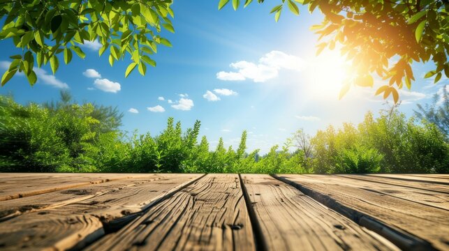 Spring-Summer Images – Browse 4,290 Stock Photos, Vectors, and Video ...