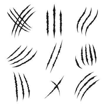 "Slash Mark" Images – Browse 114,393 Stock Photos, Vectors, and Video ...