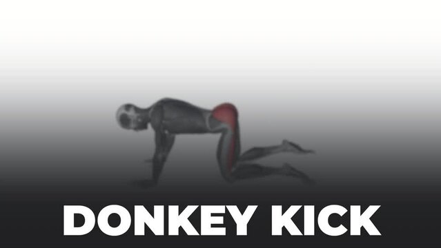 Donkey Kick Images – Browse 1,543 Stock Photos, Vectors, and Video ...