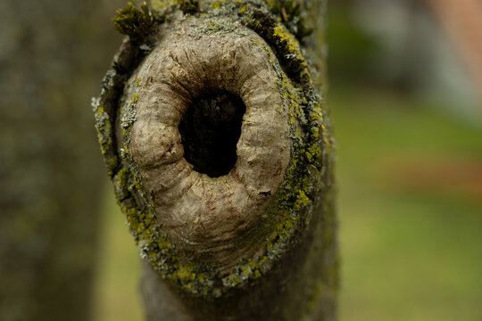 Astloch Images – Browse 3,779 Stock Photos, Vectors, and Video | Adobe ...