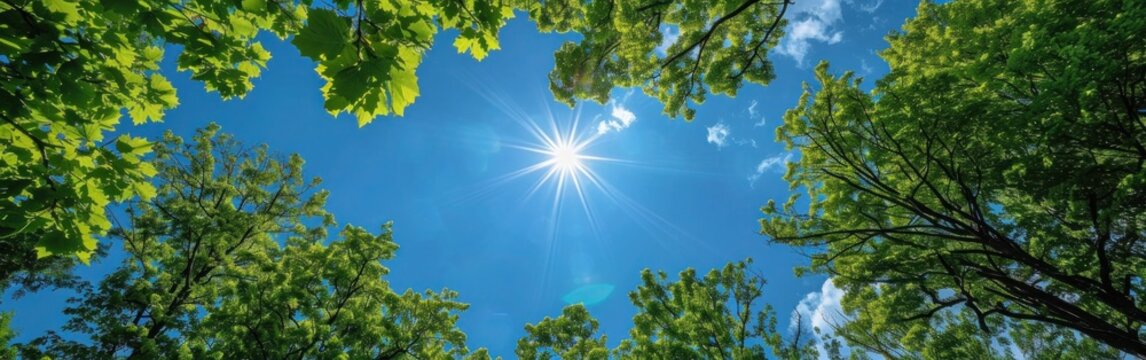 "Sunshine Day" Images – Browse 456 Stock Photos, Vectors, and Video ...