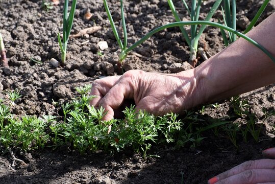 Verziehen Images – Browse 324 Stock Photos, Vectors, and Video | Adobe ...