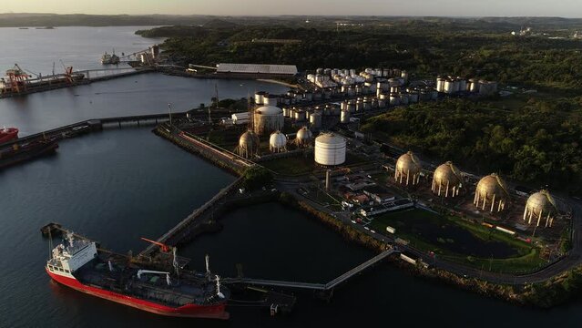 Aratu Images – Browse 42 Stock Photos, Vectors, and Video | Adobe Stock