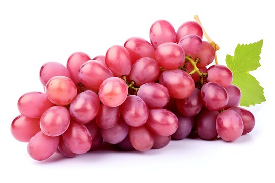 「固める」の写真素材 | 4,310,065件の無料イラスト画像 | Adobe Stock