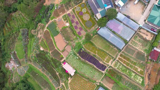 Atok Images – Browse 129 Stock Photos, Vectors, and Video | Adobe Stock