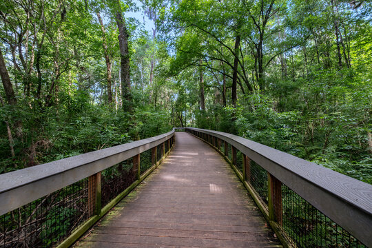 Guy Bryant photos, images, assets | Adobe Stock