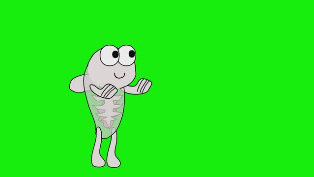 Fish Green Screen Images – Browse 5,032 Stock Photos, Vectors, and ...