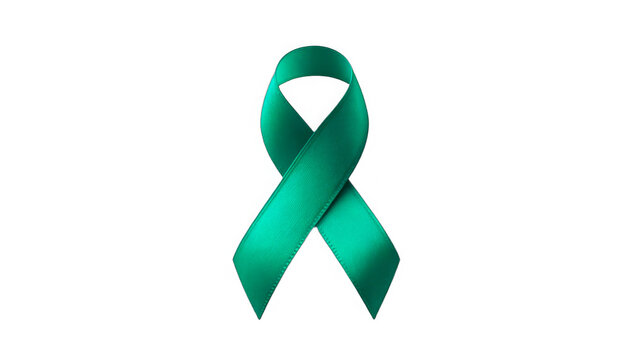 Kidney Cancer Survivor Color