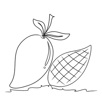 Mango Line Drawing Images – Browse 7,431 Stock Photos, Vectors, and ...