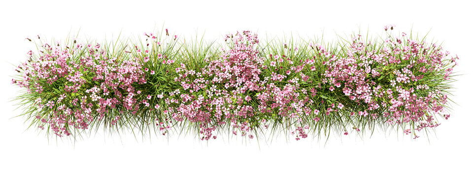 Shrubs Top View Png