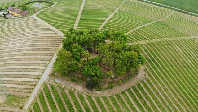 Gavi Images – Browse 790 Stock Photos, Vectors, and Video | Adobe Stock