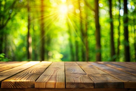 "Woods Background" Images – Browse 545 Stock Photos, Vectors, and Video ...