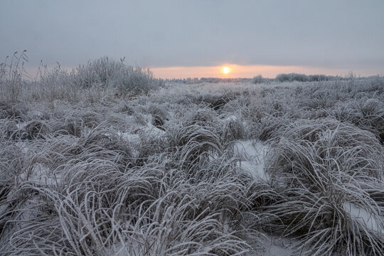 "Dim Sky" Images – Browse 60 Stock Photos, Vectors, and Video | Adobe Stock