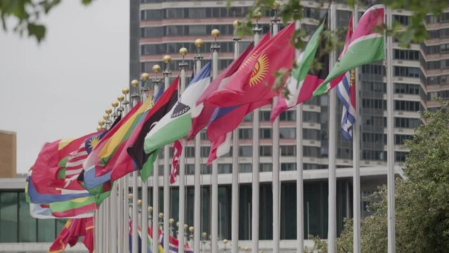 Multicultural Flags Images – Browse 10,966 Stock Photos, Vectors, and ...