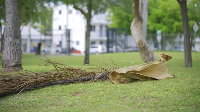 ฟุตเทจวิดีโอ4K – เลือกดูสต็อกวิดีโอและฟุตเทจ4,196,251 HD | Adobe Stock