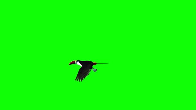 Green Screen Bird Images – Browse 14,322 Stock Photos, Vectors, and ...