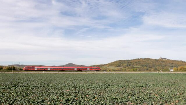 "Cabbage Field"-Bilder: Stock-Fotos & -Videos. | Adobe Stock