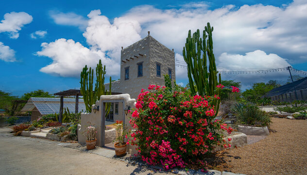 "Desert Garden" - Images et vidéos libres de droits | Adobe Stock