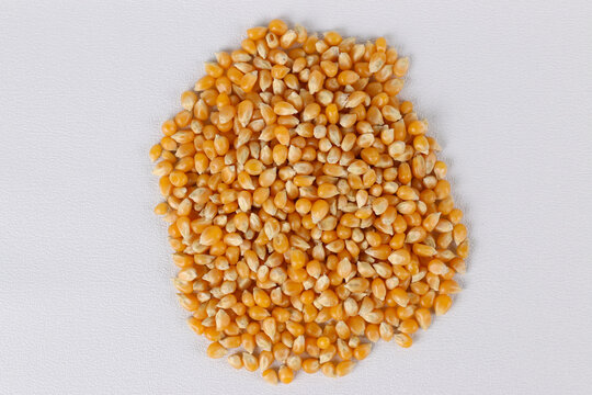 "Maize Kernels" Images – Browse 781 Stock Photos, Vectors, and Video ...