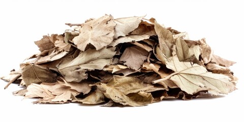 A pile of dried leaves on a white surface. Suitable for autumn themes
