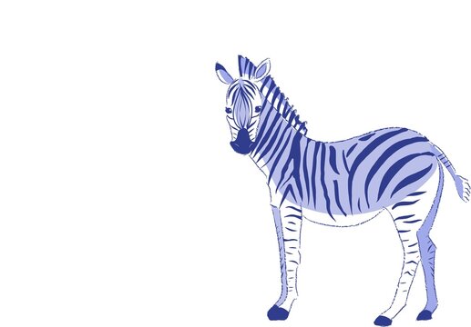 Zeebra Images – Browse 83 Stock Photos, Vectors, and Video | Adobe Stock