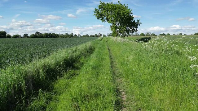 "Sussex Weald" Images – Browse 848 Stock Photos, Vectors, and Video ...