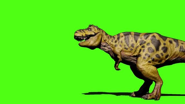 "Green Screen Video" Images – Browse 2,098 Stock Photos, Vectors, and ...