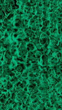 「Mycoplasma」の写真素材 | 1,178件の無料イラスト画像 | Adobe Stock