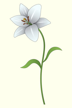 Single Flower Cartoon Images – Browse 24,731 Stock Photos, Vectors, and ...