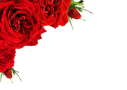 Rose Flower Corner Design