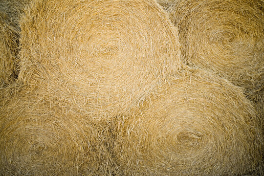Hay-Bales Images – Browse 63 Stock Photos, Vectors, and Video | Adobe Stock