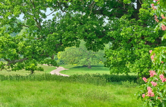 "Country Lane" Images – Browse 7,681 Stock Photos, Vectors, and Video ...