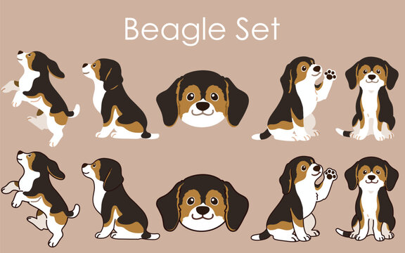 "Dog Obedience" Images – Browse 10,264 Stock Photos, Vectors, and Video ...