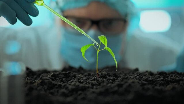 Agrochemistry Images – Browse 1,469 Stock Photos, Vectors, and Video ...