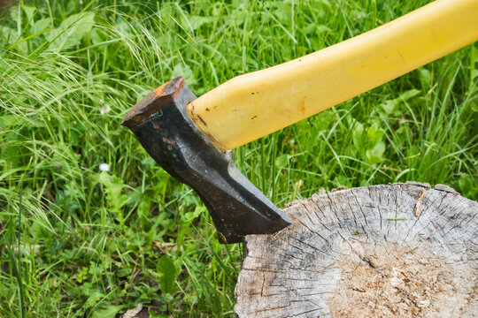 Ax-Handle Images – Browse 79 Stock Photos, Vectors, and Video | Adobe Stock