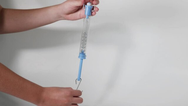 "Spring Balance" Images – Browse 950 Stock Photos, Vectors, and Video ...