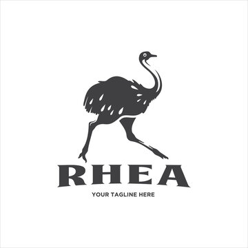 Imágenes de "Rhea Bird": descubre bancos de fotos, ilustraciones ...