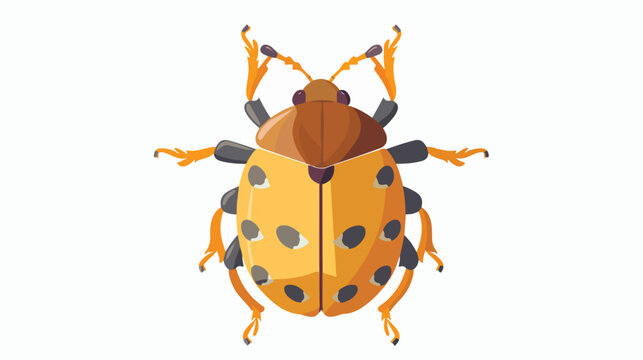 "May Bug" Images – Browse 12,216 Stock Photos, Vectors, and Video ...