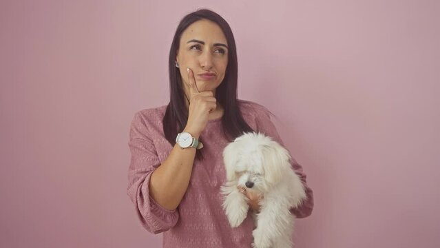 "Bichon Maltes" Images – Browse 470 Stock Photos, Vectors, and Video ...